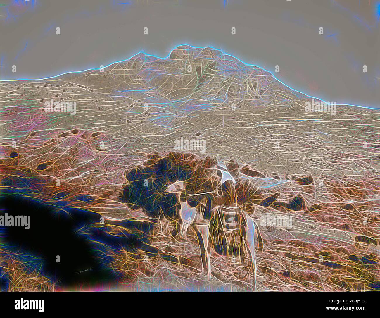 Mount Hor High Resolution Stock Photography and Images - Alamy