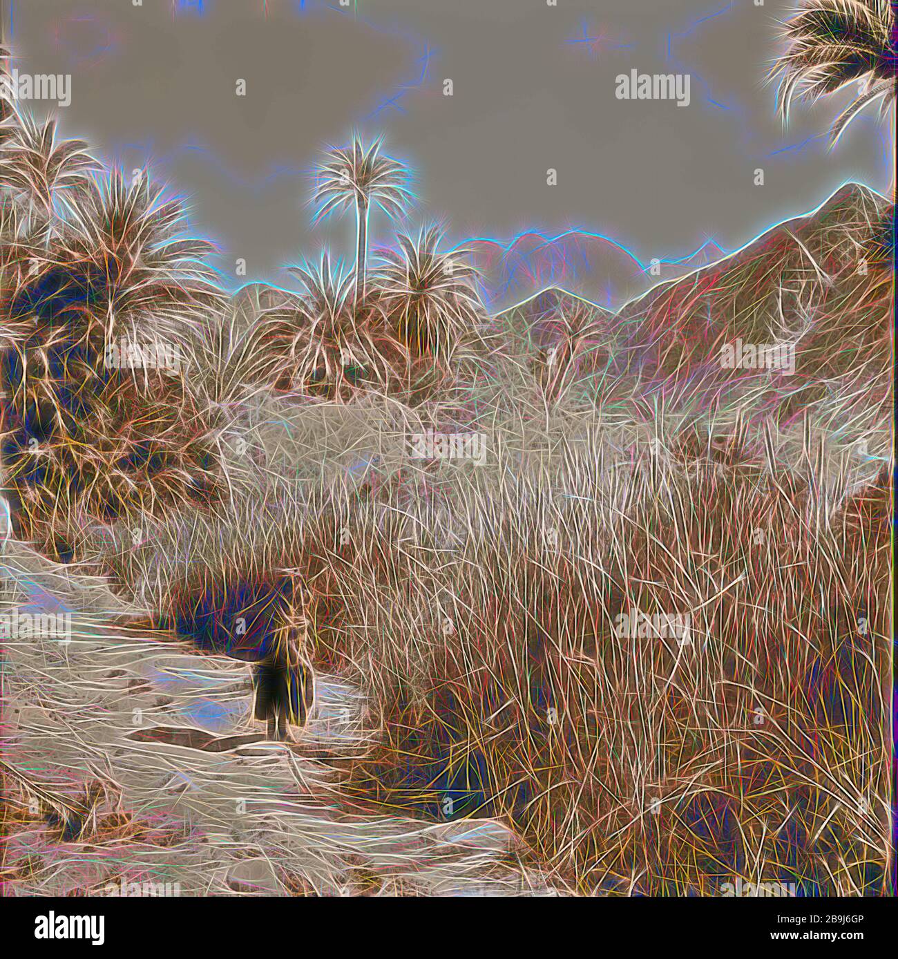 Serbal High Resolution Stock Photography and Images - Alamy