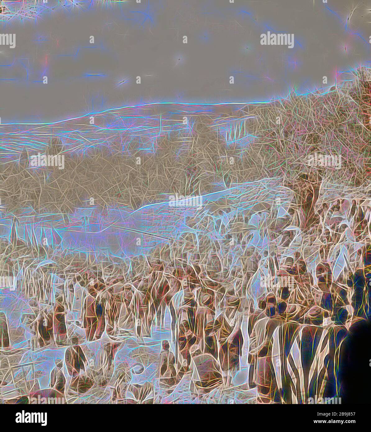 Costumes, characters and ceremonies, Neby Mousa, Nebi Musa procession ...