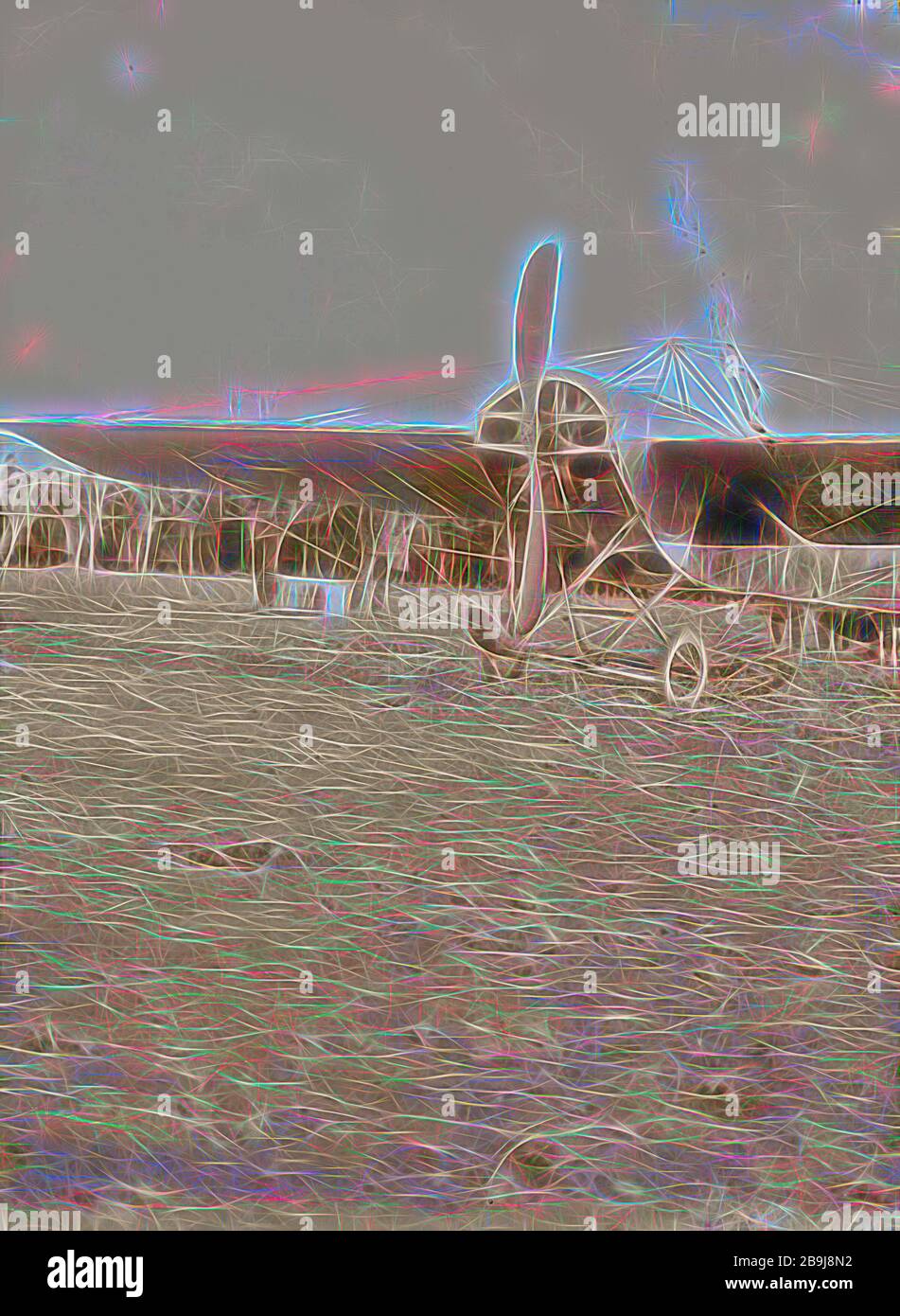 Arrival of French pilot Marc Bonnier and mechanic Joseph Barnier in a ...