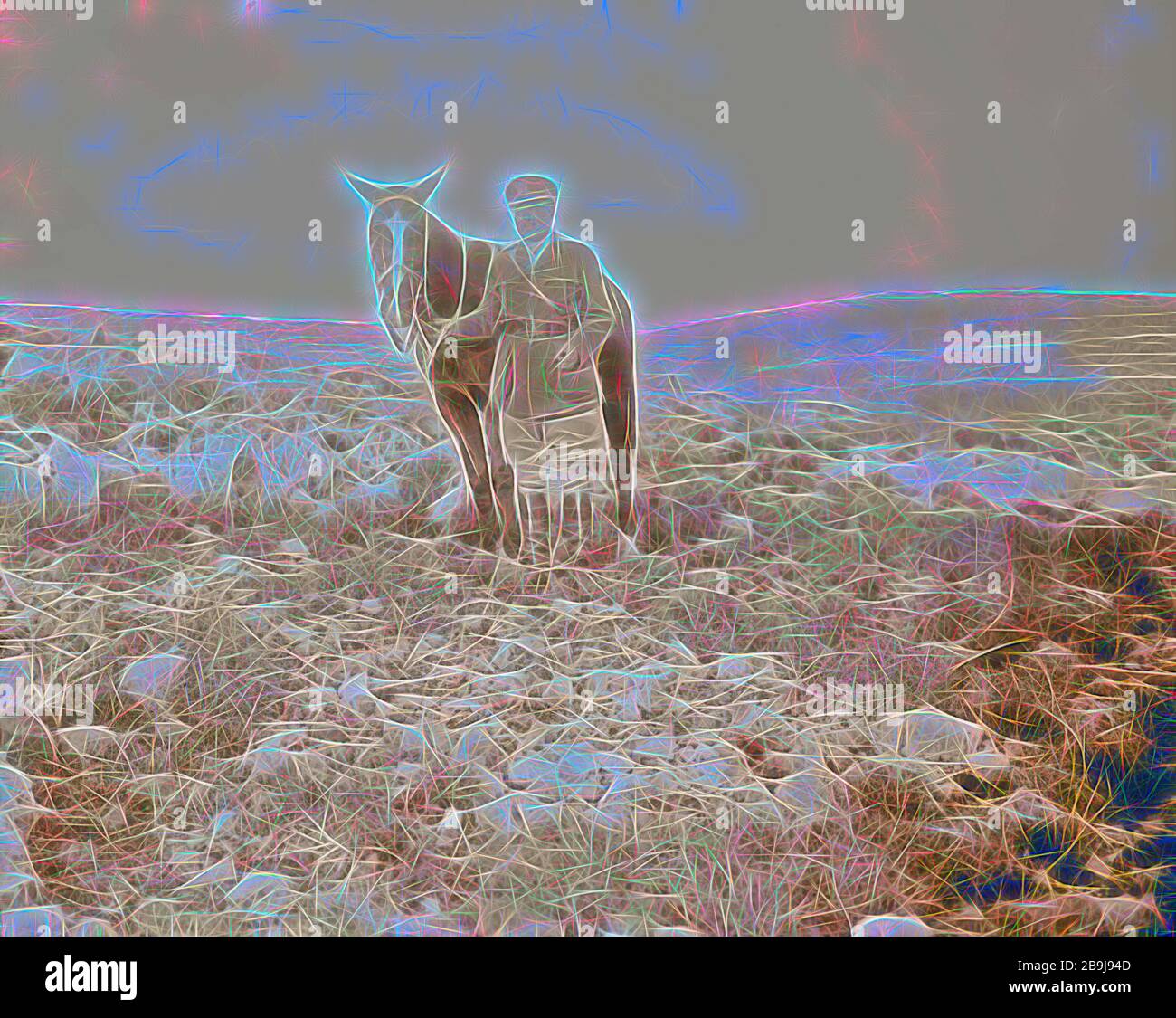 53rd division hi-res stock photography and images - Alamy