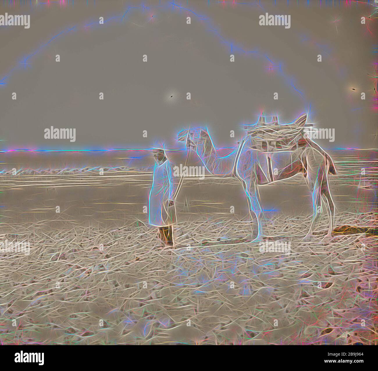 Turkish Red Cross and Red Crescent Movement 1915, Middle East, Israel ...