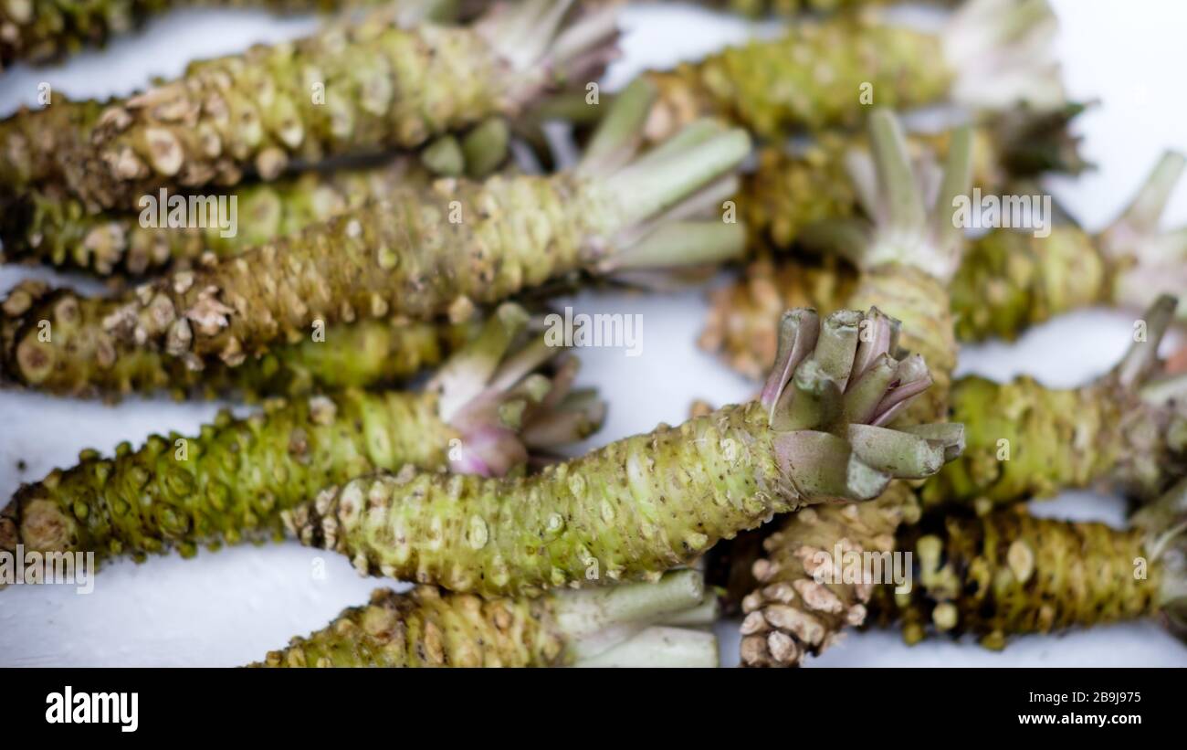 Raw wasabi roots at a local fish market, Tokyo, Japan Stock Photo - Alamy