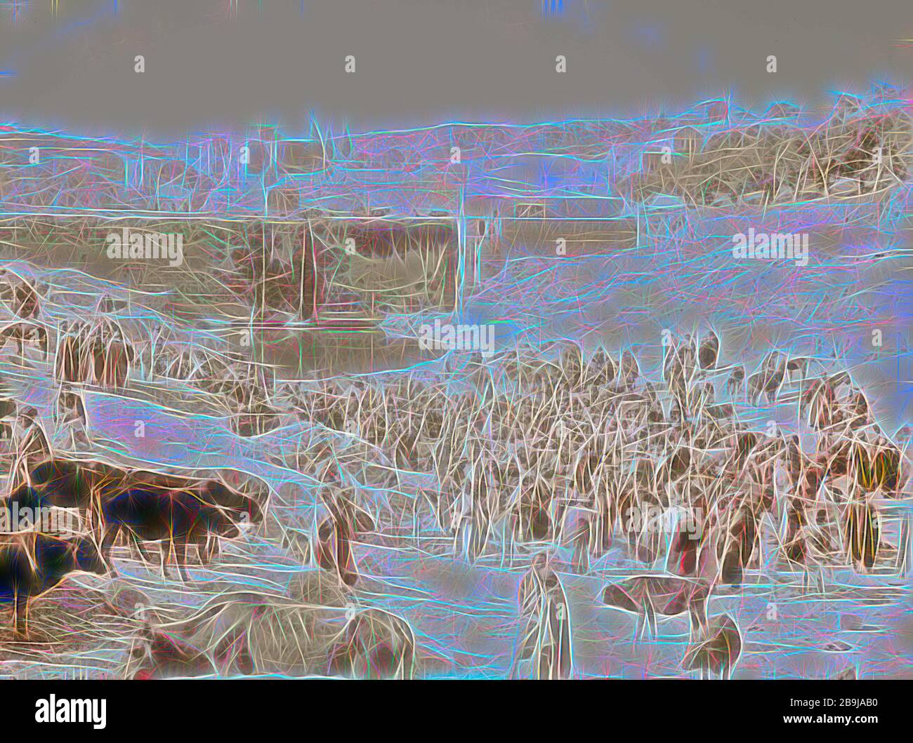 Lower pool of Gihon. 1898, Jerusalem, Israel Stock Photo - Alamy