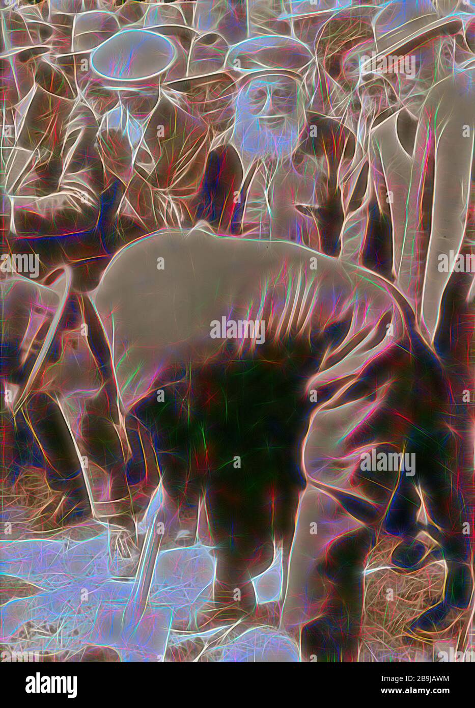 Winston Churchill planting his tree at the site of Hebrew University ...