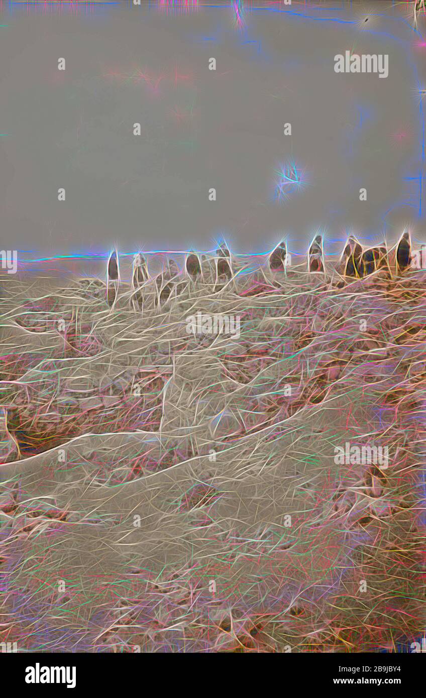 Beit mirsim hi-res stock photography and images - Alamy