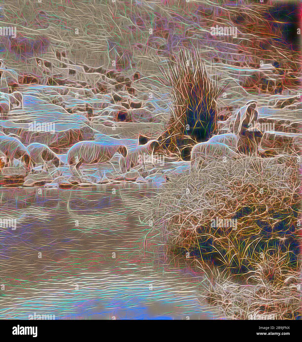 Sheep 1898, Middle East Stock Photo - Alamy