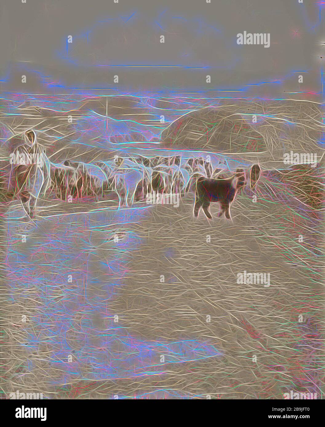 23rd Psalm, sheep 1898, Middle East, Israel and/or Palestine Stock ...