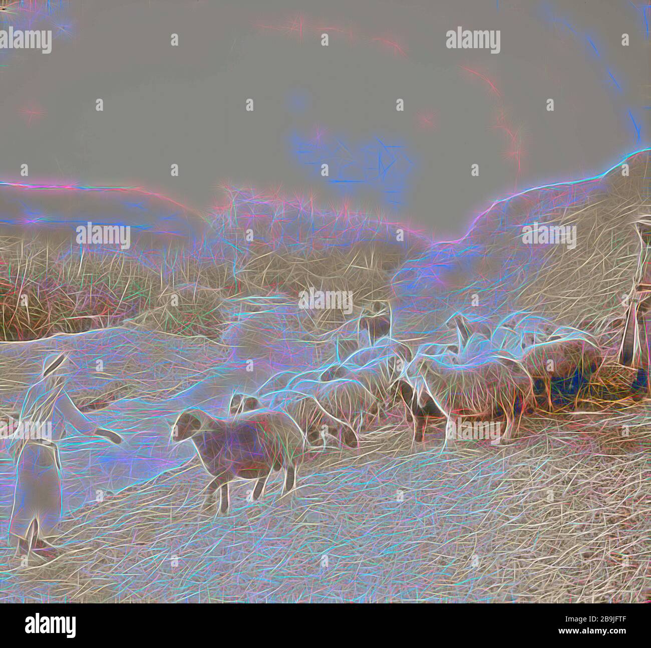 23rd Psalm, sheep 1898, Middle East, Israel and/or Palestine Stock ...