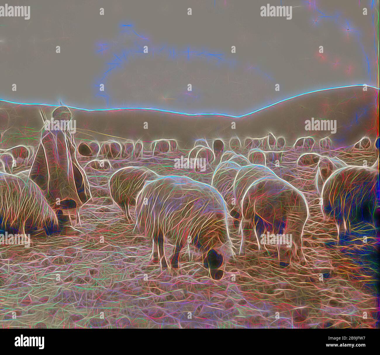 23rd Psalm, sheep 1898, Middle East, Israel and/or Palestine Stock ...