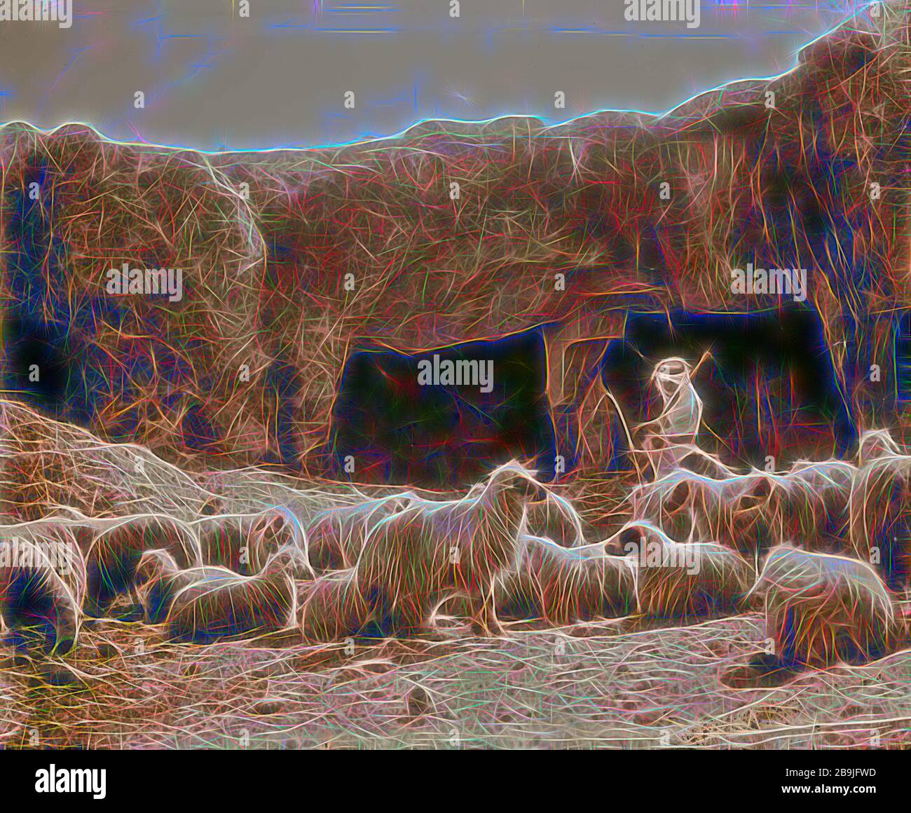 23rd Psalm, sheep 1898, Middle East, Israel and/or Palestine Stock ...