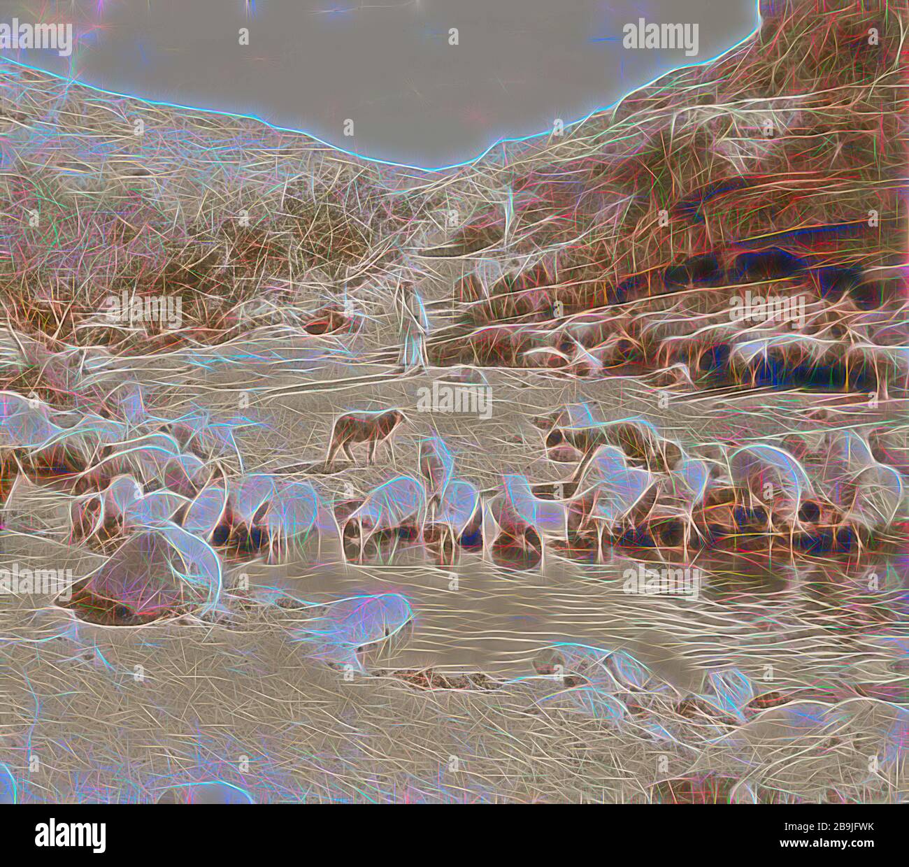 23rd Psalm, sheep 1898, Middle East, Israel and/or Palestine Stock ...