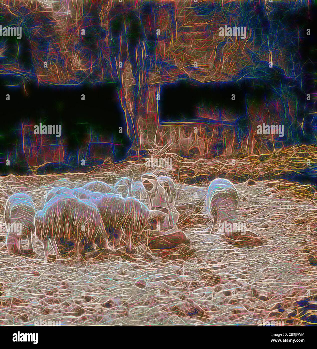 23rd Psalm, sheep 1898, Middle East, Israel and/or Palestine Stock ...