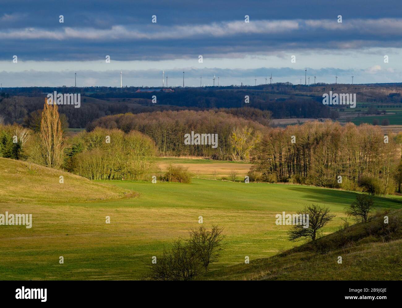 Adonis led hi-res stock photography and images - Alamy