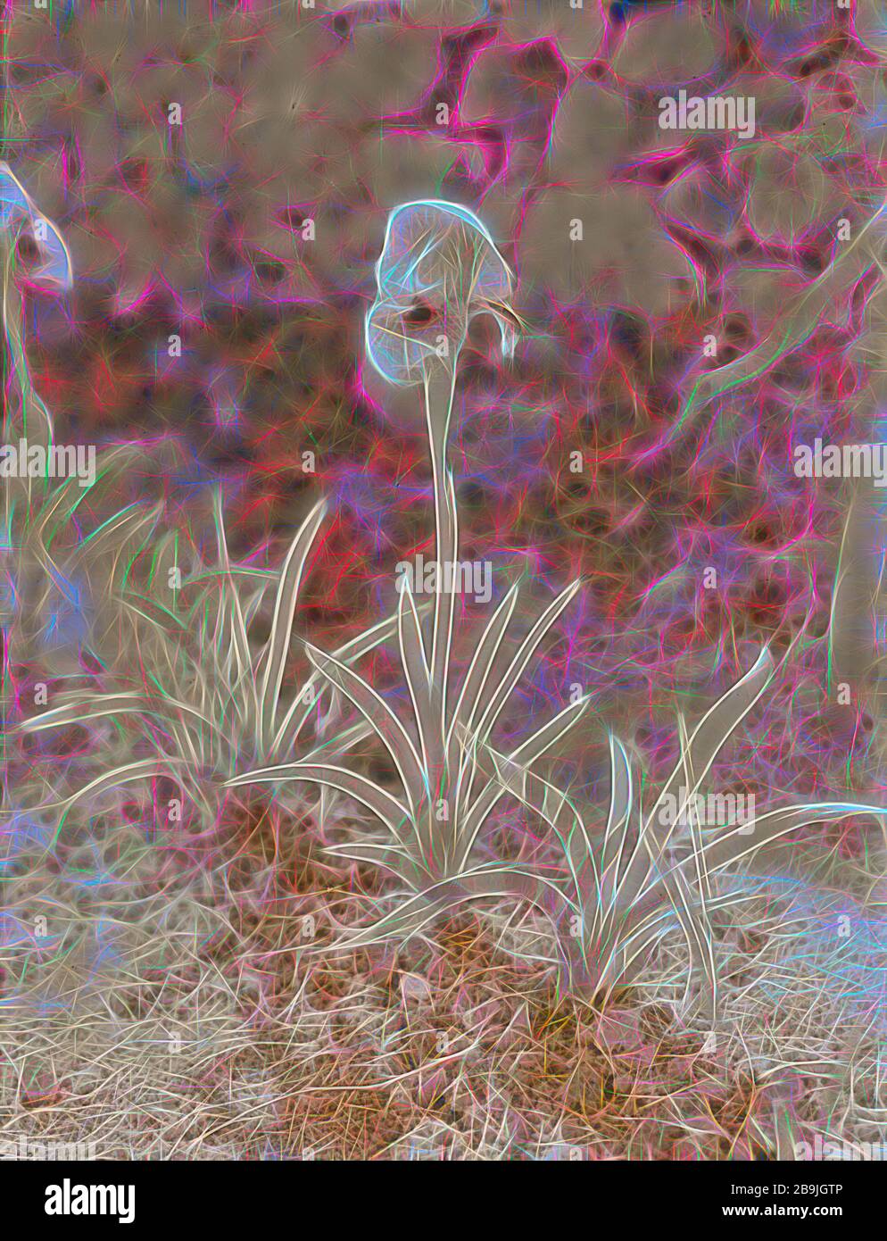 Palestine / Eric Matson. 1935 Stock Photo - Alamy