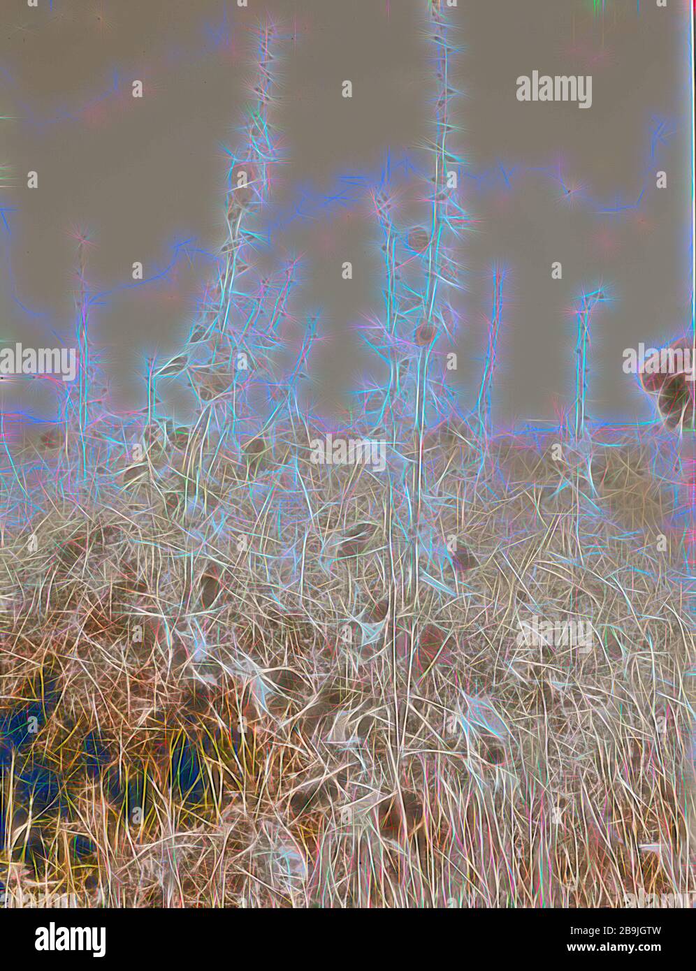 Trans-Jordan / Eric Matson. 1935, Jordan Stock Photo - Alamy