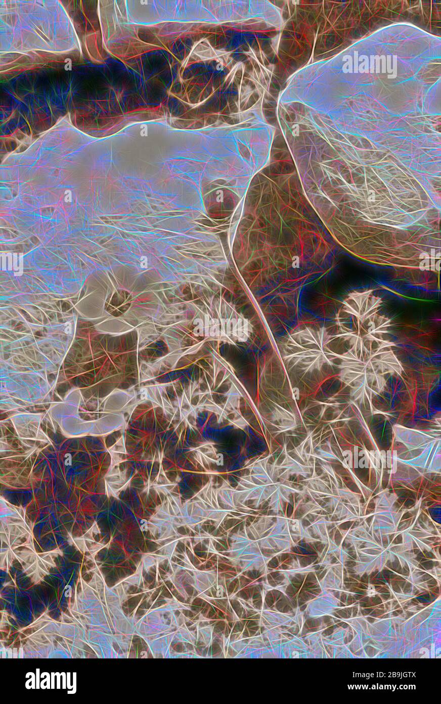 Palestine / Eric Matson. 1935 Stock Photo - Alamy