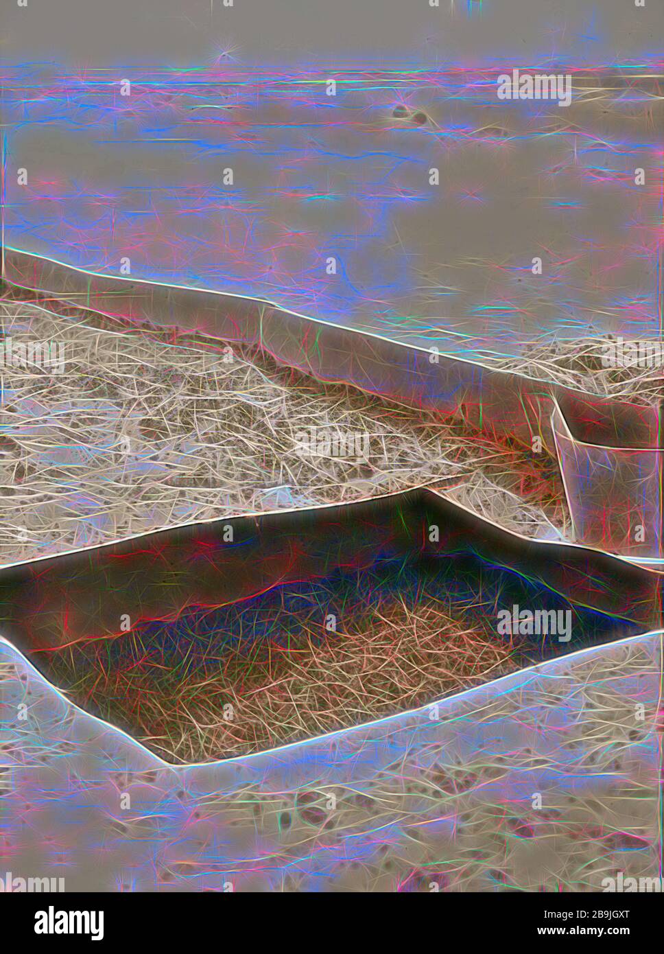 The locust plague 1898, Middle East, Israel and/or Palestine Stock ...