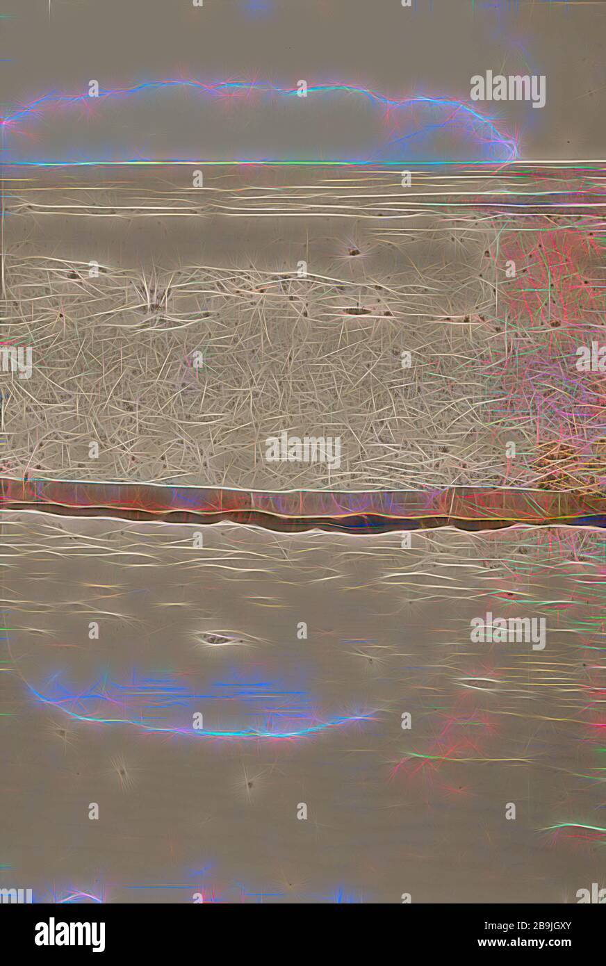 The locust plague 1898, Middle East, Israel and/or Palestine Stock ...