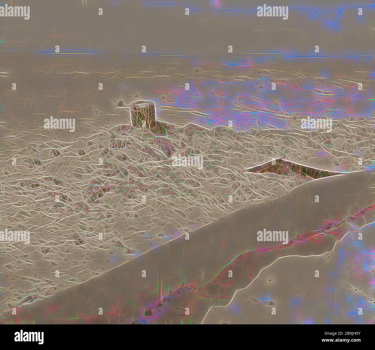Locust plague, wall and trap. 1898, Middle East, Israel and/or ...