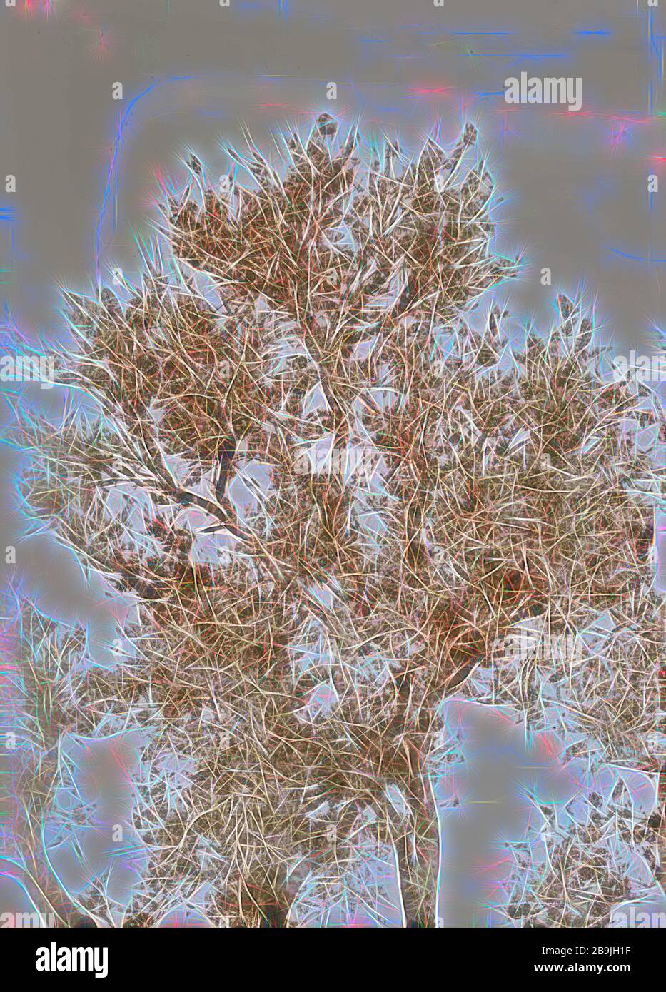 Tree during locust plague. 1898, Middle East, Israel and/or Palestine ...