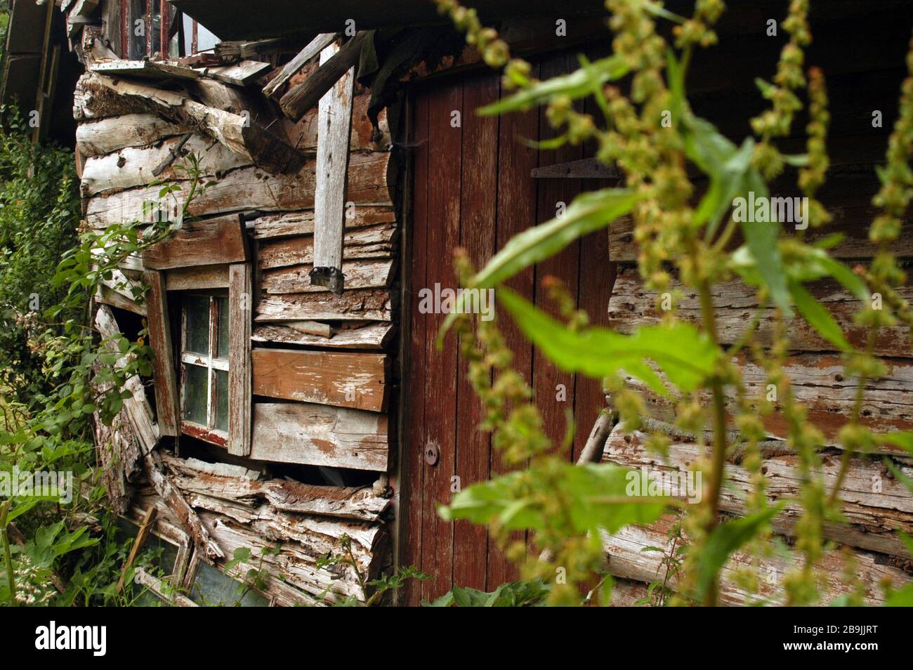 Broken walls of old dilapidated wooden house that's falling down Stock ...