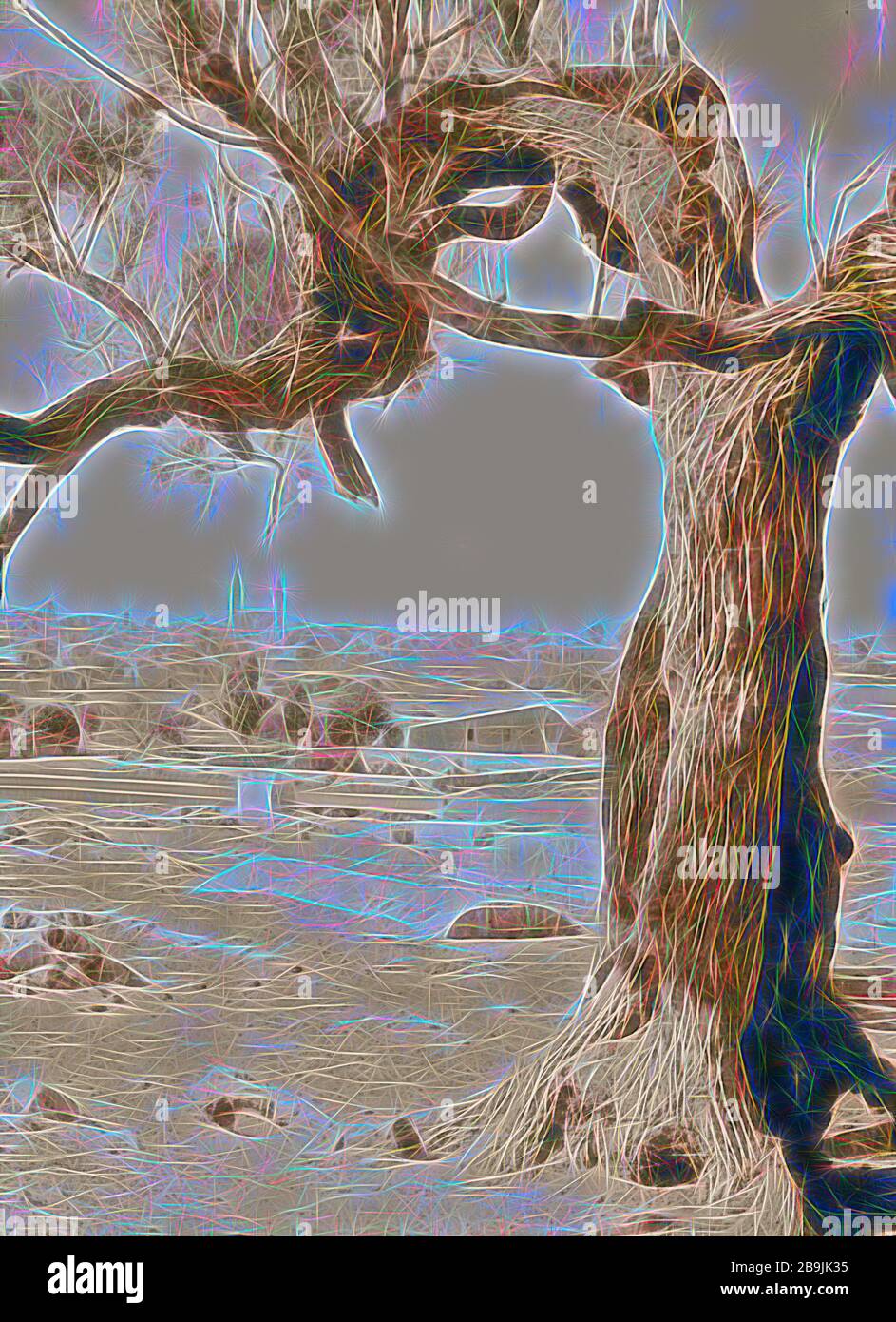 Ramlah hi-res stock photography and images - Alamy