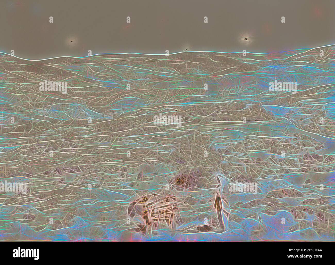 Modin hi-res stock photography and images - Alamy