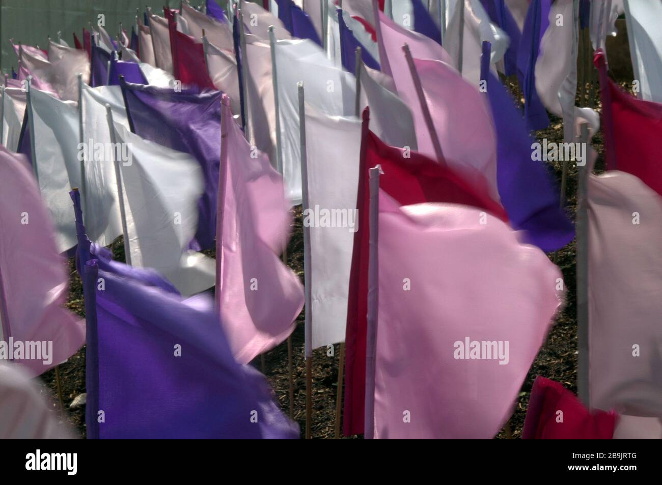 Pink and purple flags flying Stock Photo - Alamy