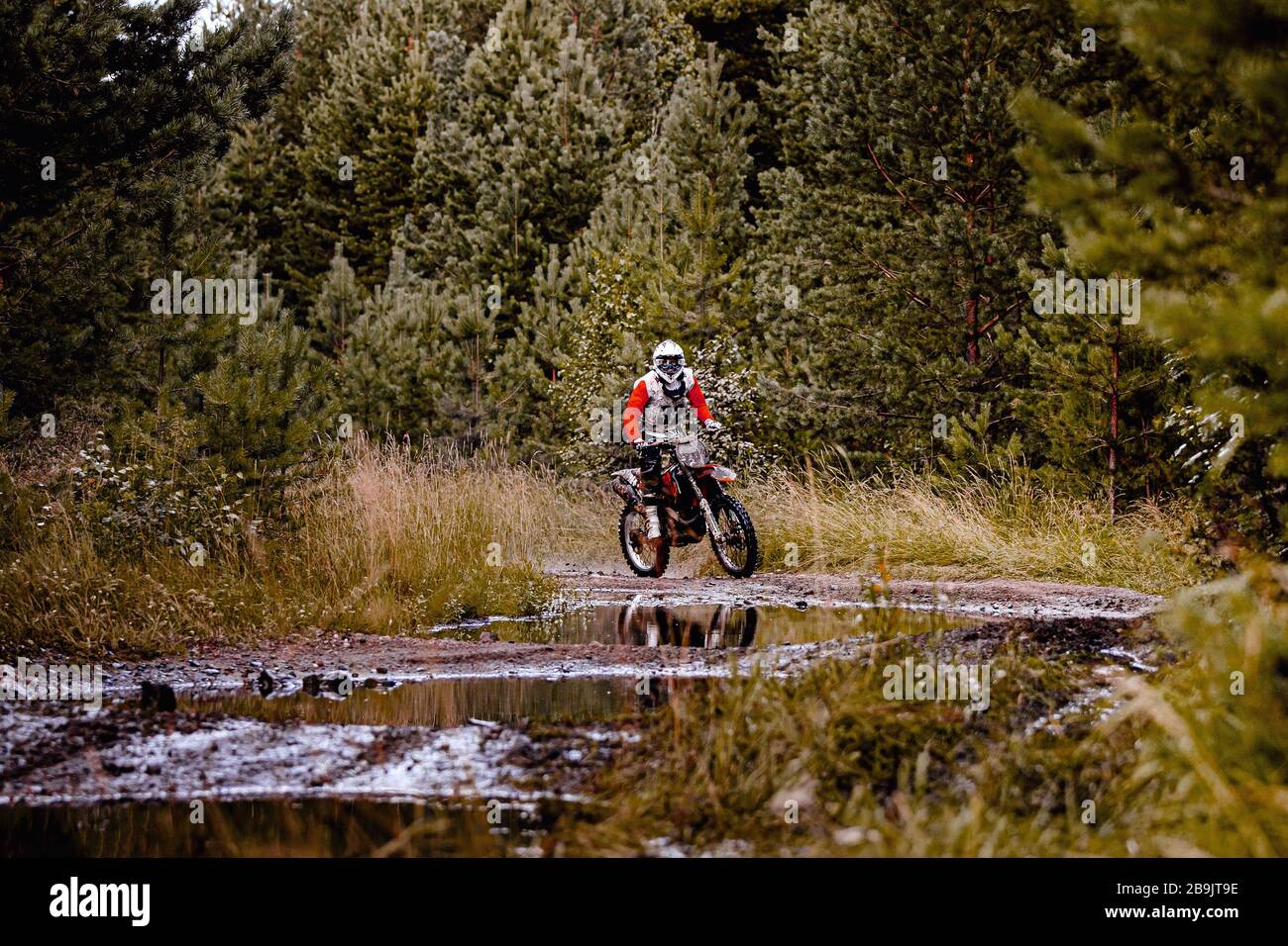 enduro racer riding a dirty trail motocross race in forest Stock Photo ...