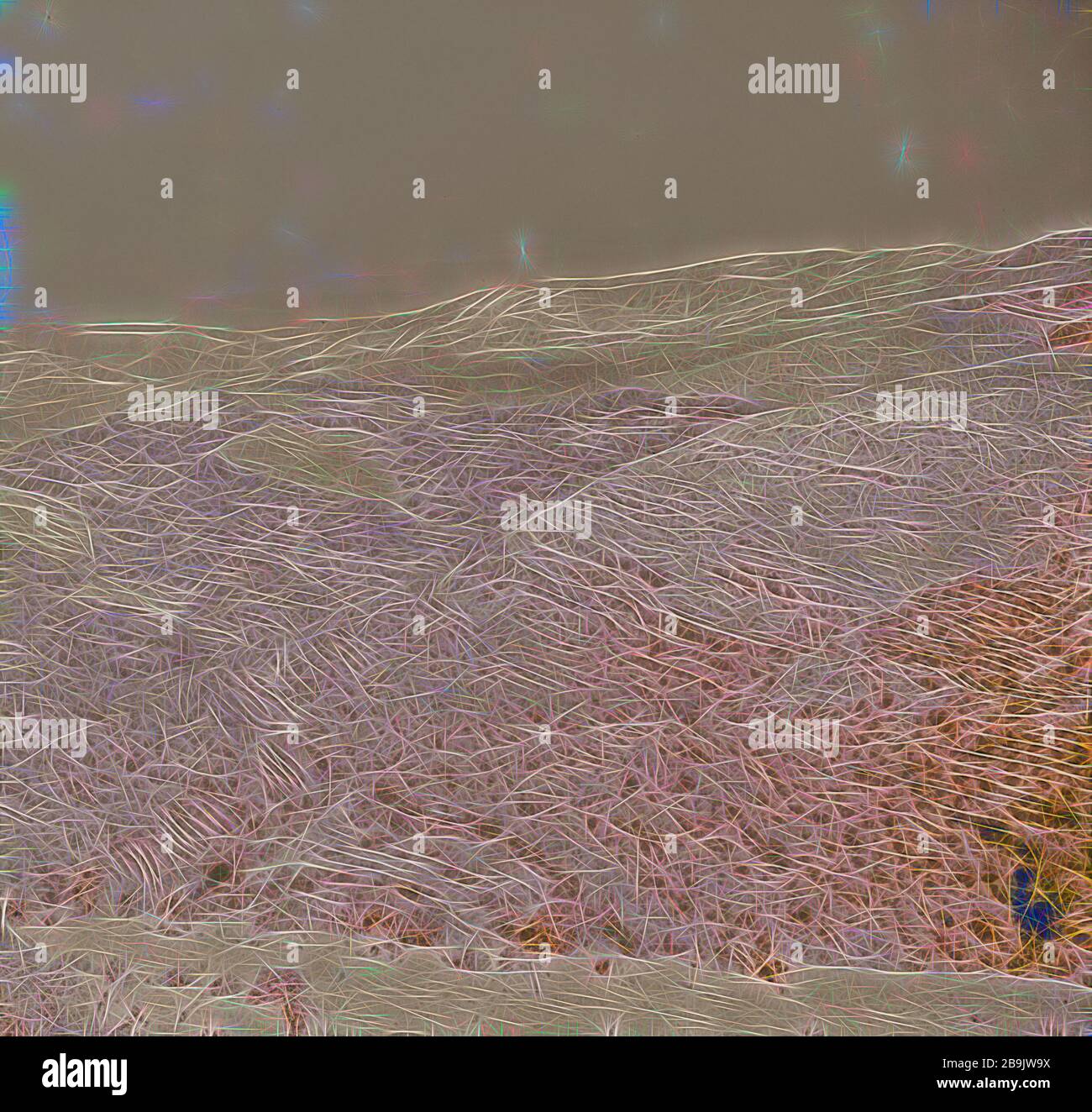 Dummar hi-res stock photography and images - Alamy