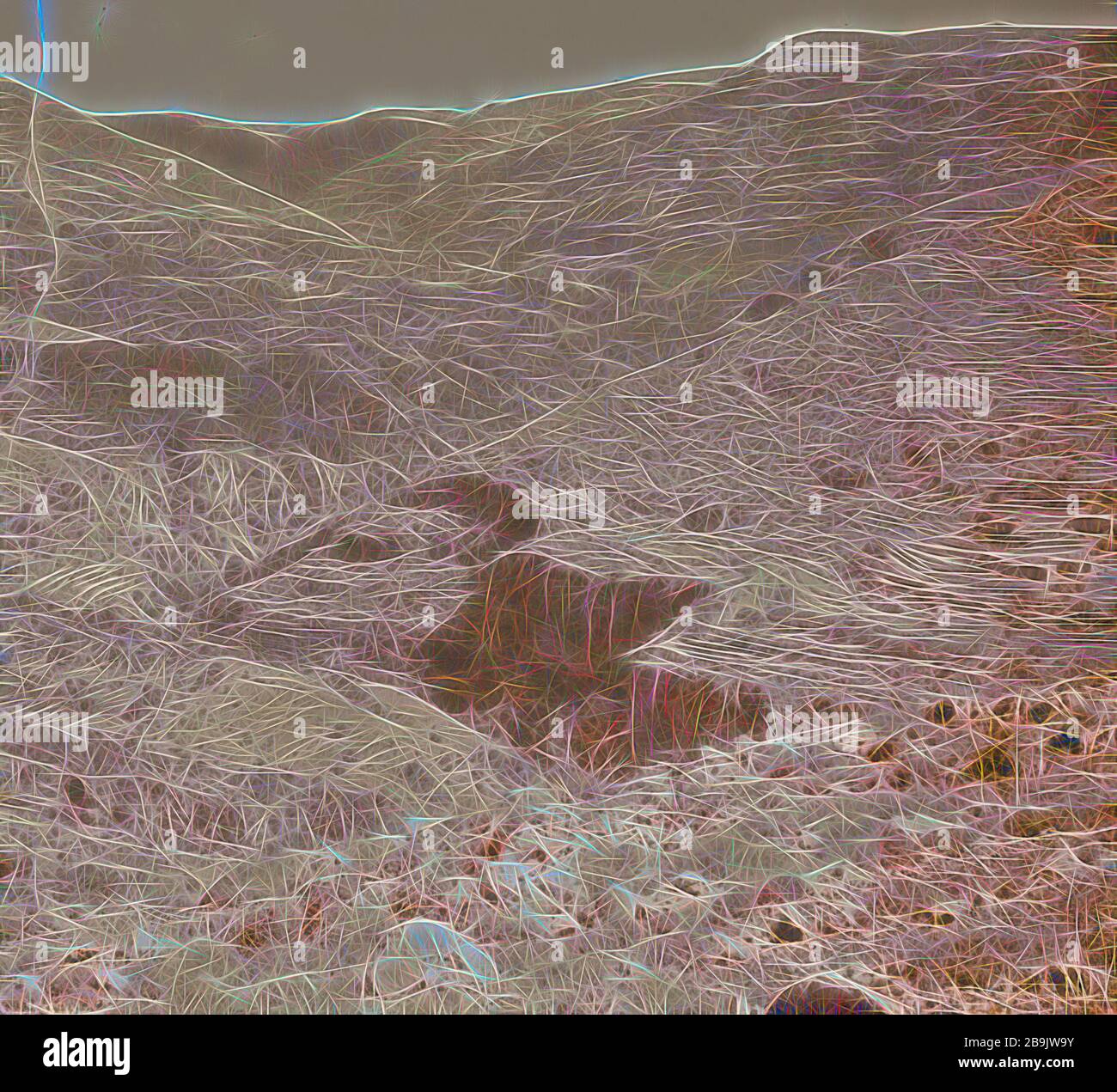 Dummar hi-res stock photography and images - Alamy