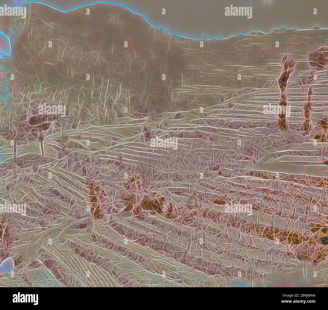 Dummar hi-res stock photography and images - Alamy