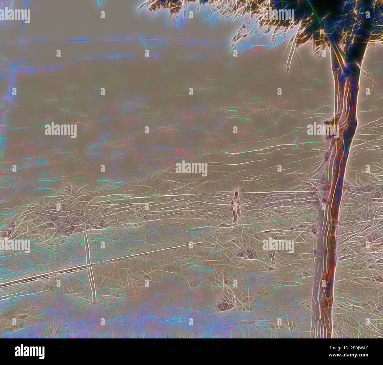 Dummar hi-res stock photography and images - Alamy