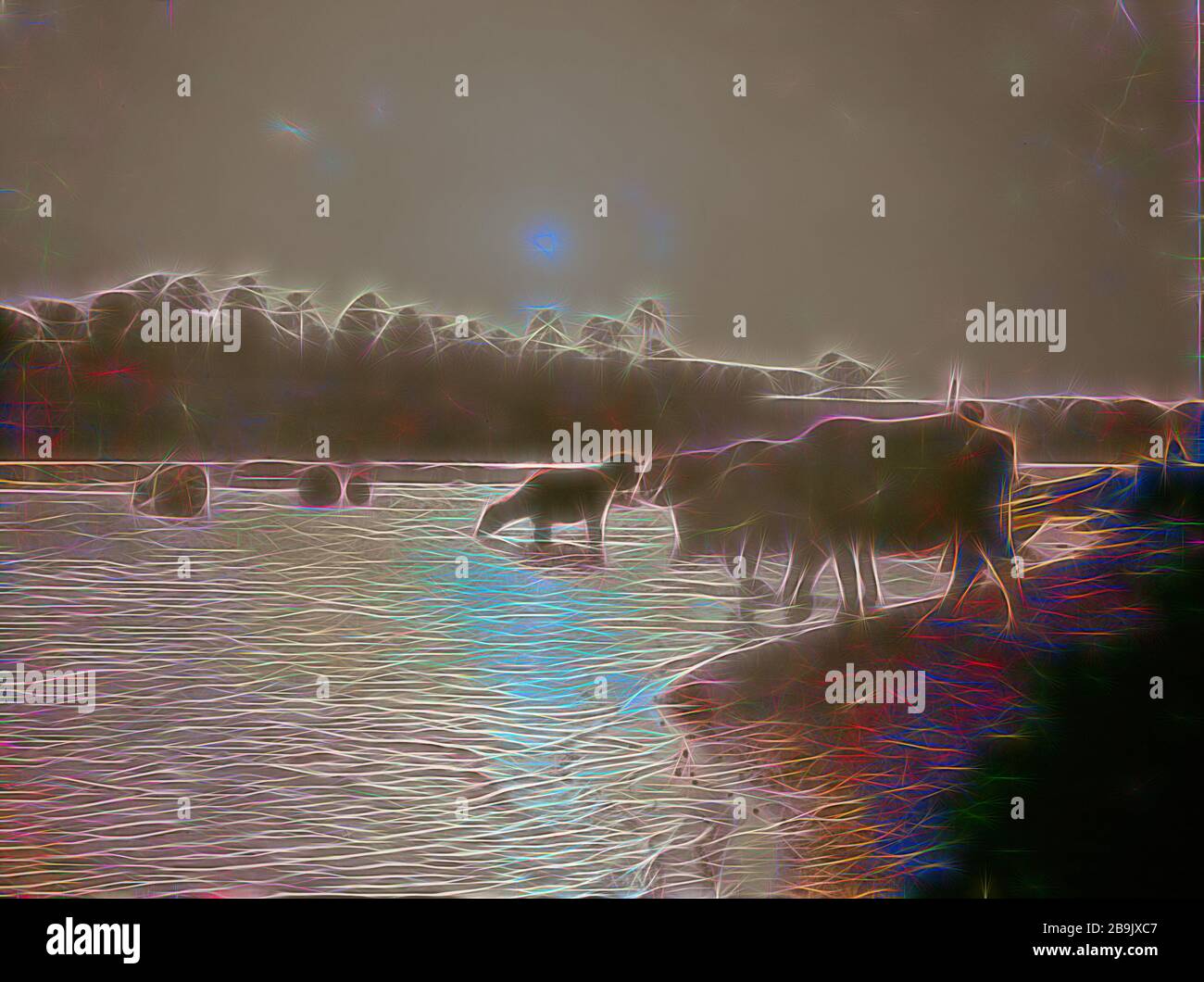 Iraq, cows in moonlight at river, or sunrise or sunset. 1932, Iraq ...