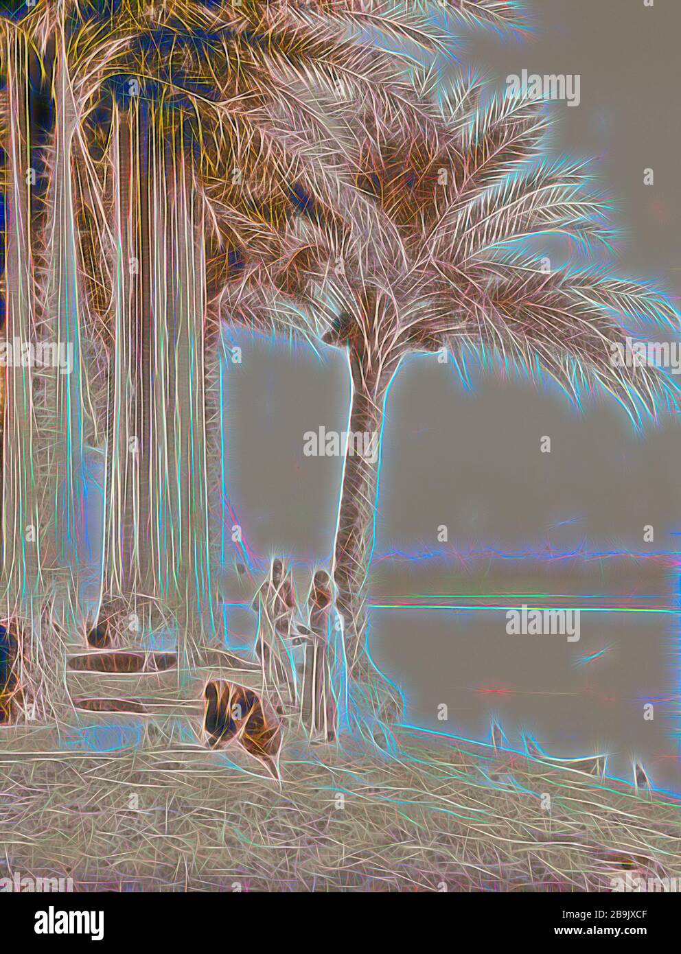 Hilla iraq hi-res stock photography and images - Alamy