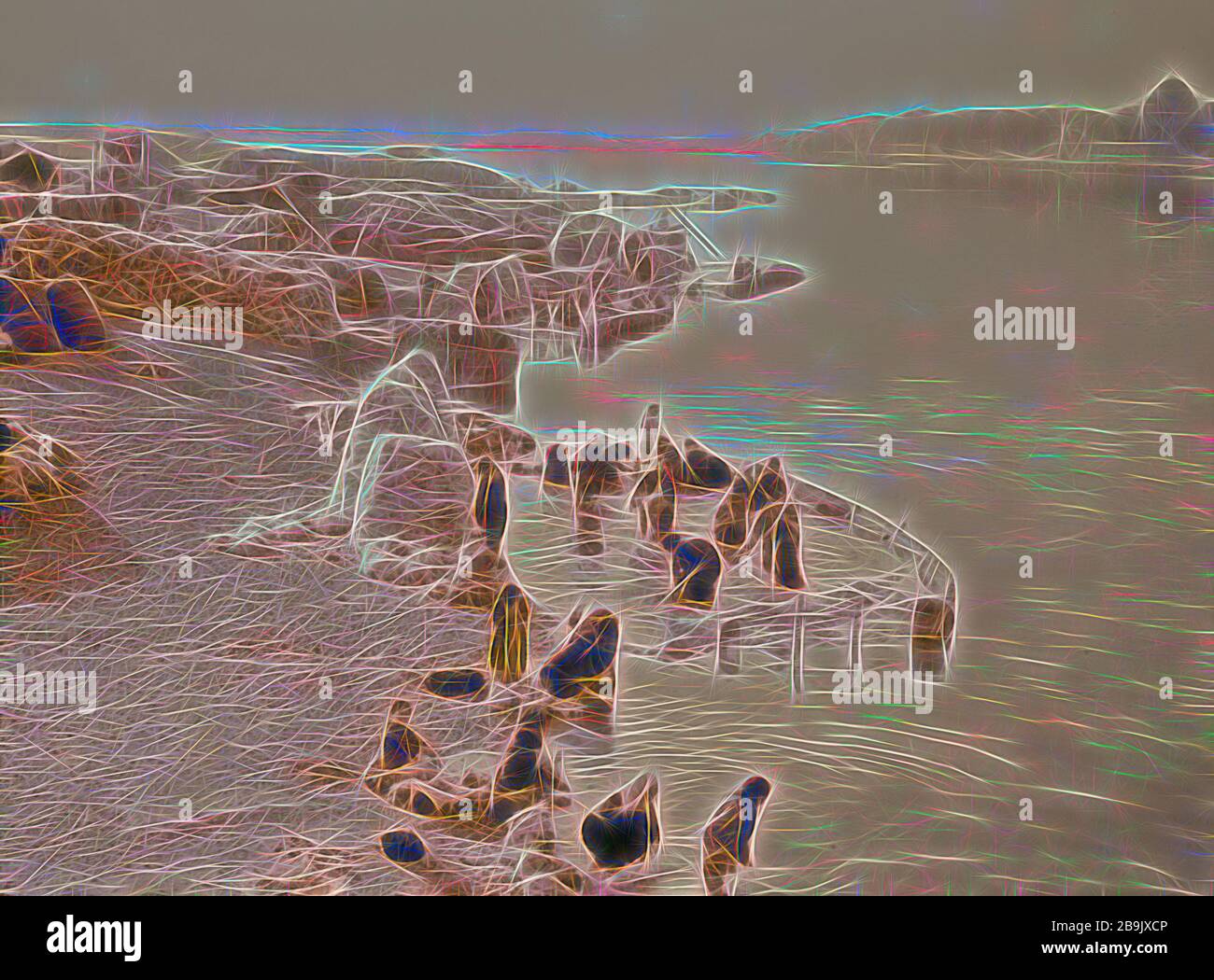 Wool washing hi-res stock photography and images - Alamy