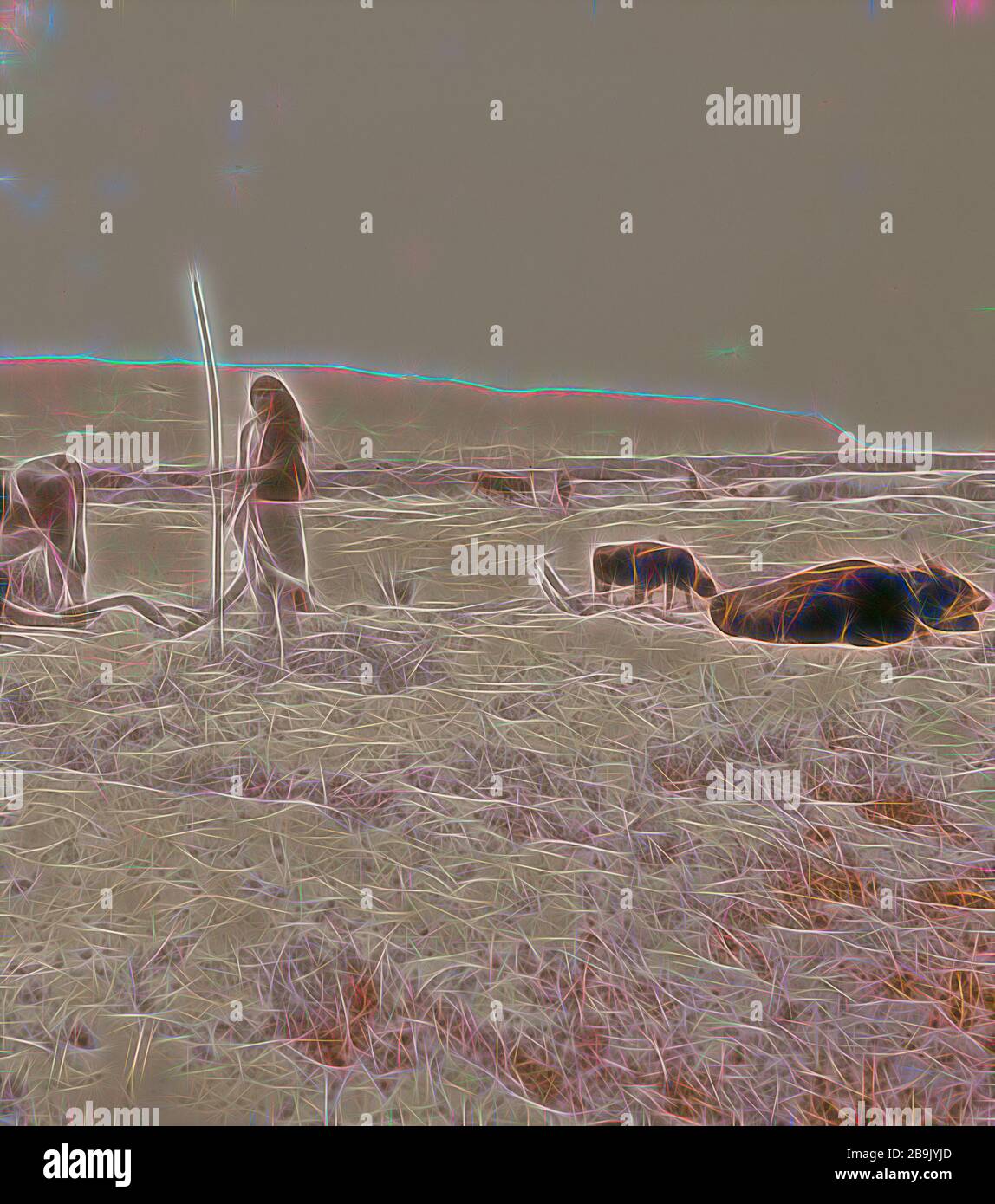 Locust plague 1925, Middle East Stock Photo - Alamy