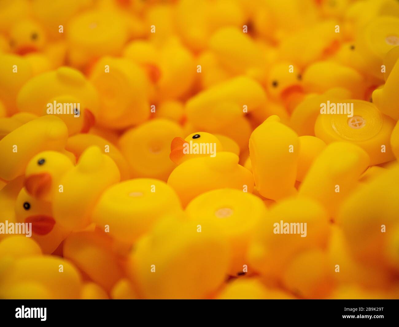 Sad rubber duck hi-res stock photography and images - Alamy