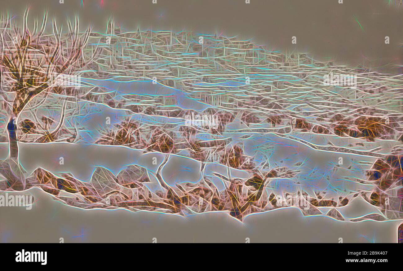 Bethlehem and surroundings. Bethlehem in snow. 1900, West Bank ...