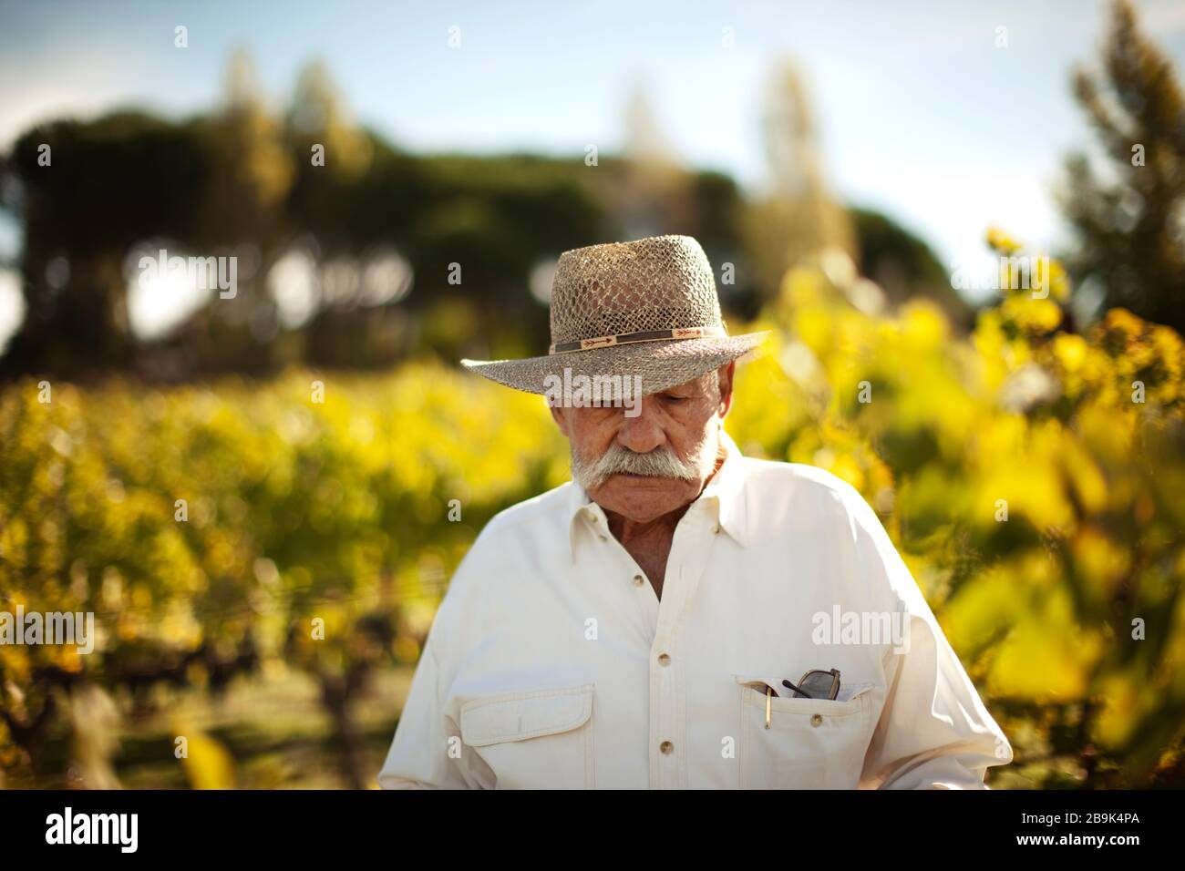 Man standing left center hi-res stock photography and images - Alamy