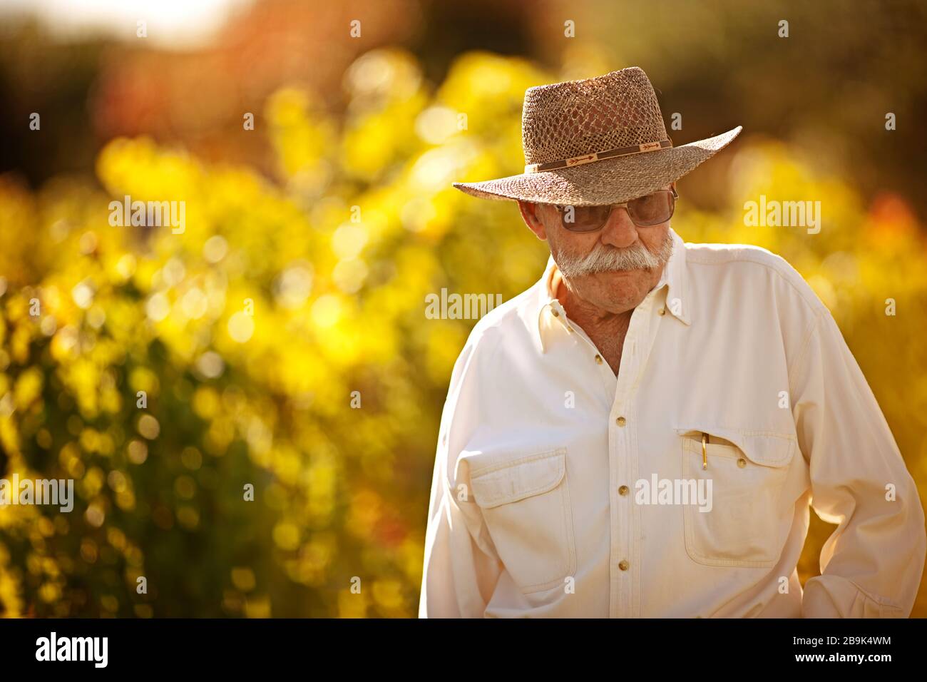 Worry vine hi-res stock photography and images - Alamy