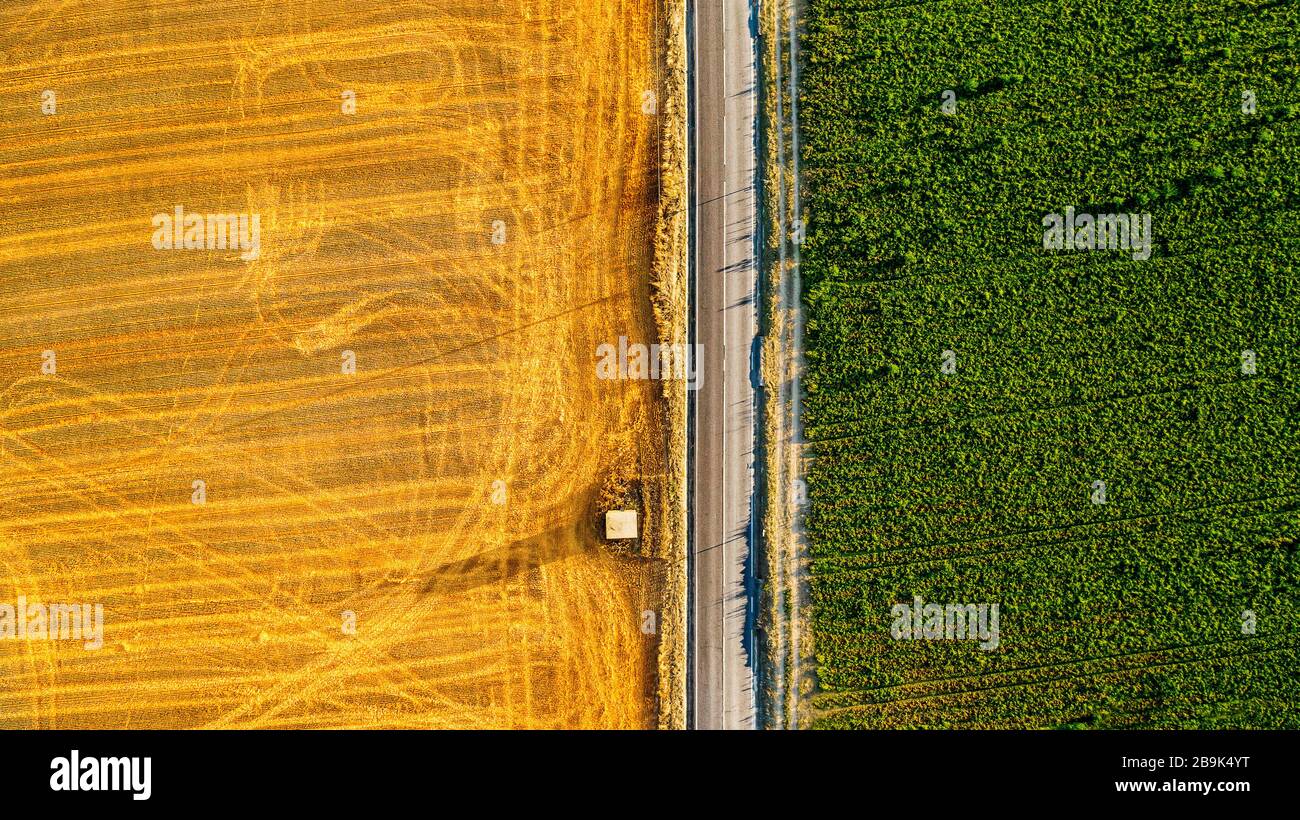 Aerial view agriculture corn Stock Photo - Alamy