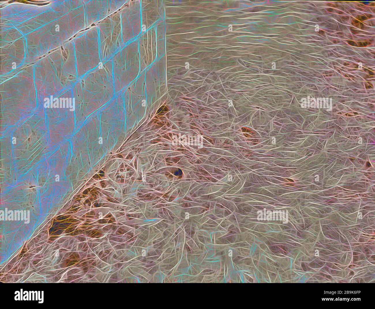 Along the coast to Tripoli. Tripoli. El-Bedoui. Pool of 'sacred fish ...