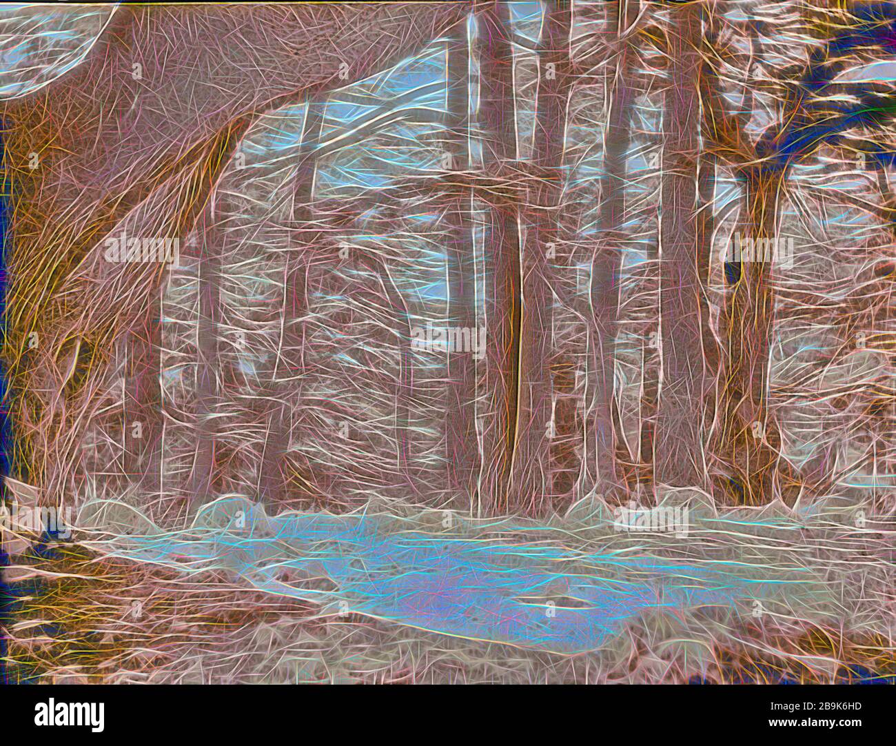 Tall cedars hi-res stock photography and images - Alamy