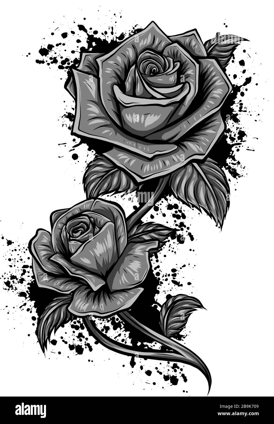Vector monochromatic image of roses in retro style. Hand-drawn lineart ...