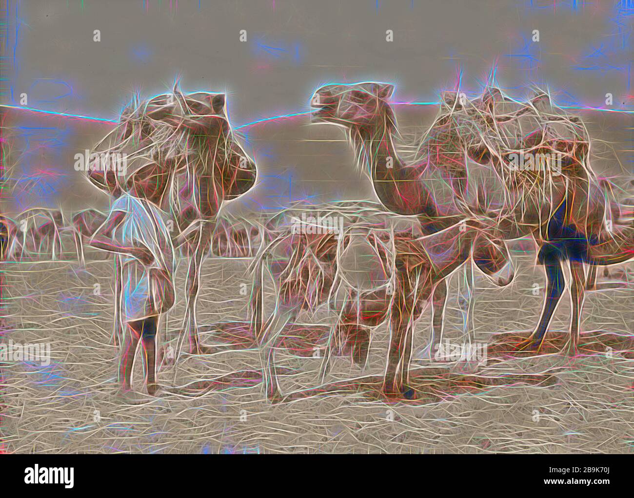 Beersheba and surroundings. (Beer Saba). Carrying water to the camp ...