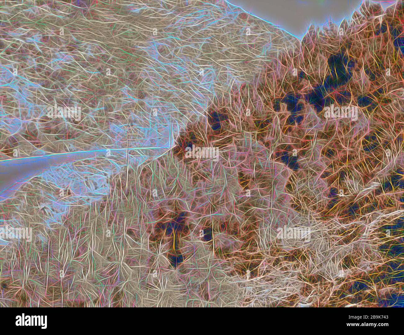Agriculture, etc. Reforested hill side between Jerusalem and Jaffa ...