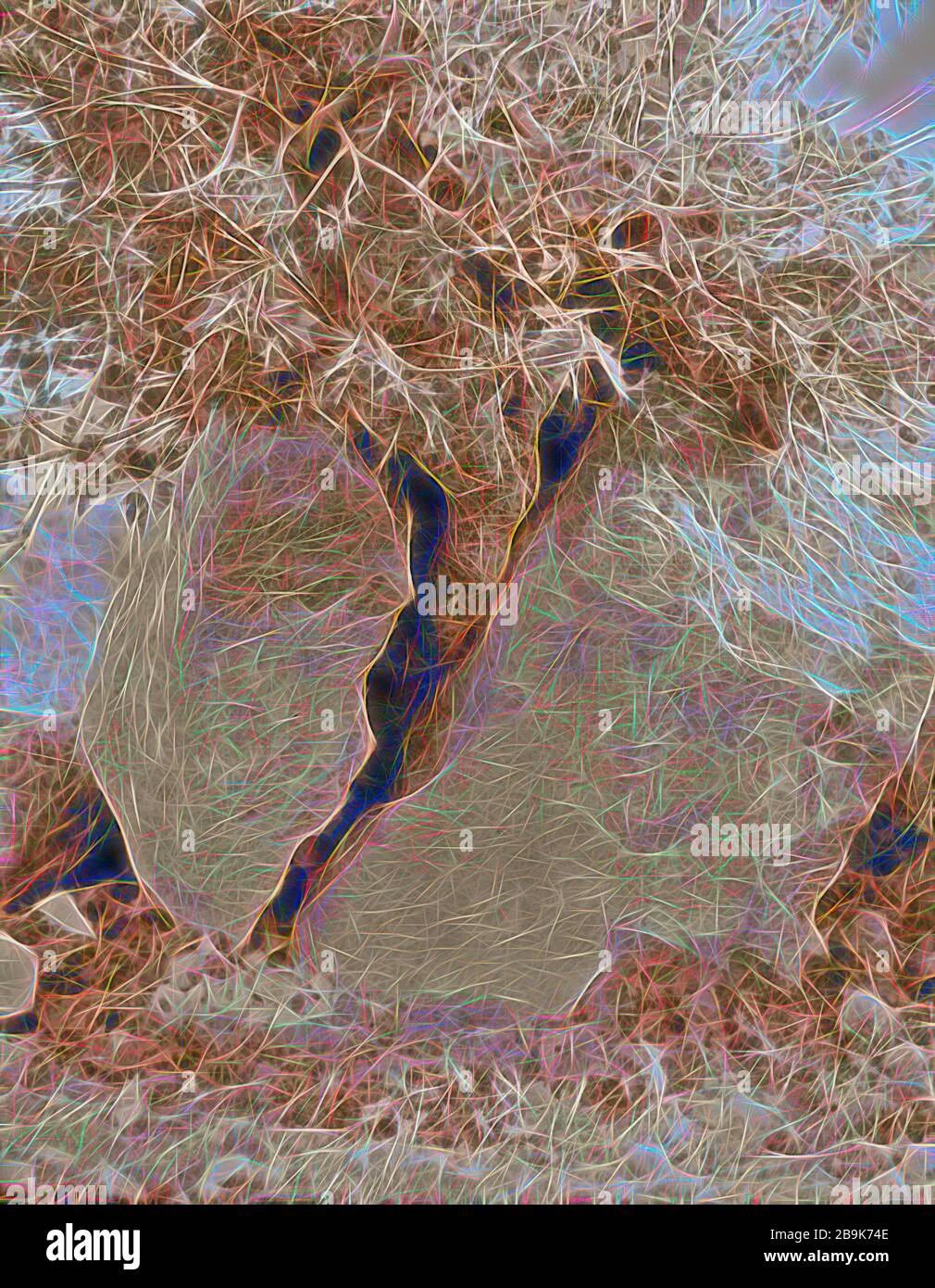 Agriculture, etc. Growth of a fig tree cleaving a great rock taken in ...