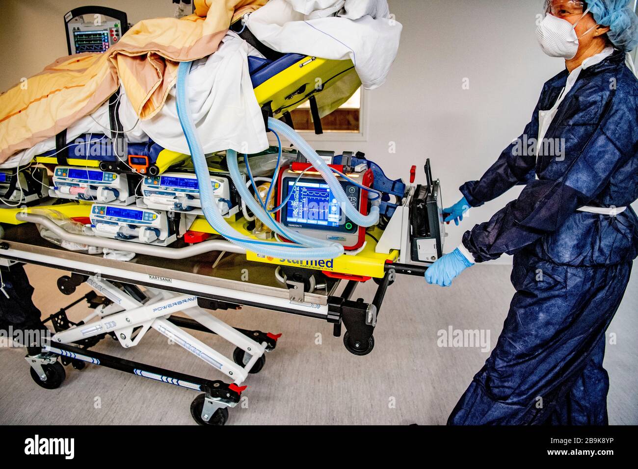 Stretcher face hi-res stock photography and images - Alamy
